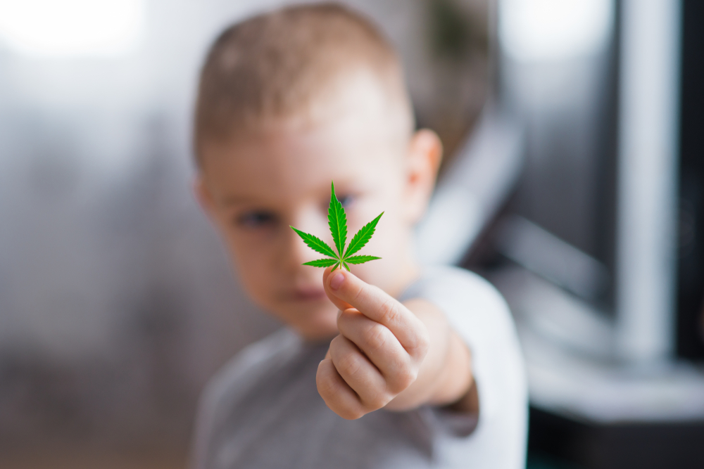In the Weed(s): What Legalized Pot Means for Your Maryland Custody Case ...